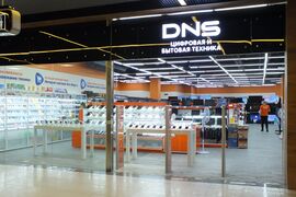 DNS (компания): деятельность, чем известна — РУВИКИ