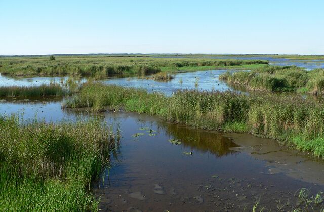 Папес — глубина, площадь, место расположения озера — РУВИКИ