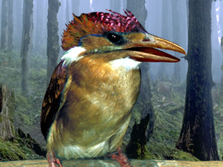 Примобукко: ареал, рацион, размеры и вес — РУВИКИ